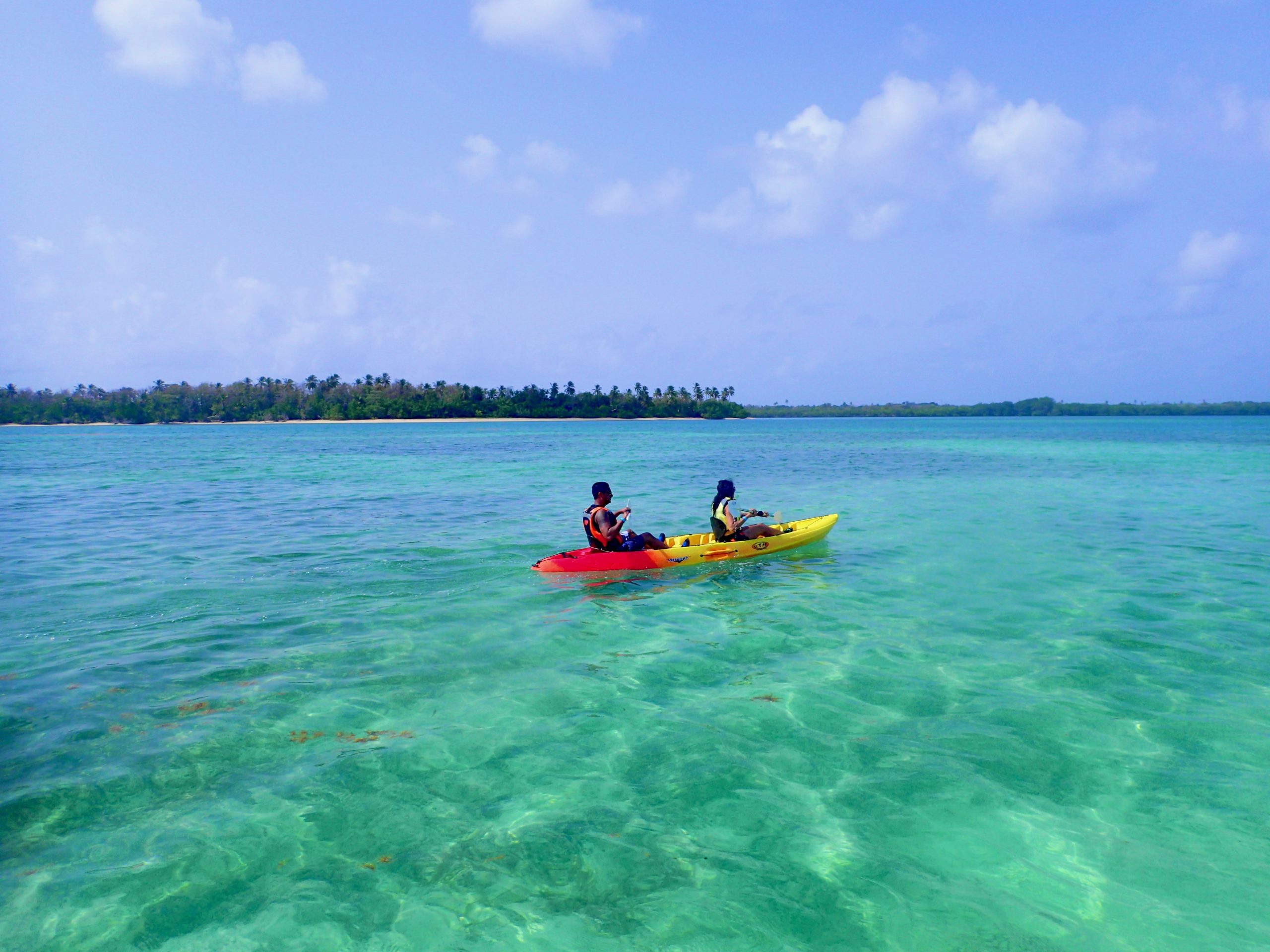 Early Morning Turtle Tour with Nylon Pool